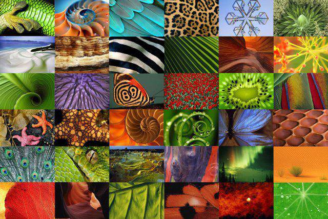 Cette animation de la séquence de Fibonacci est à couper le souffle!