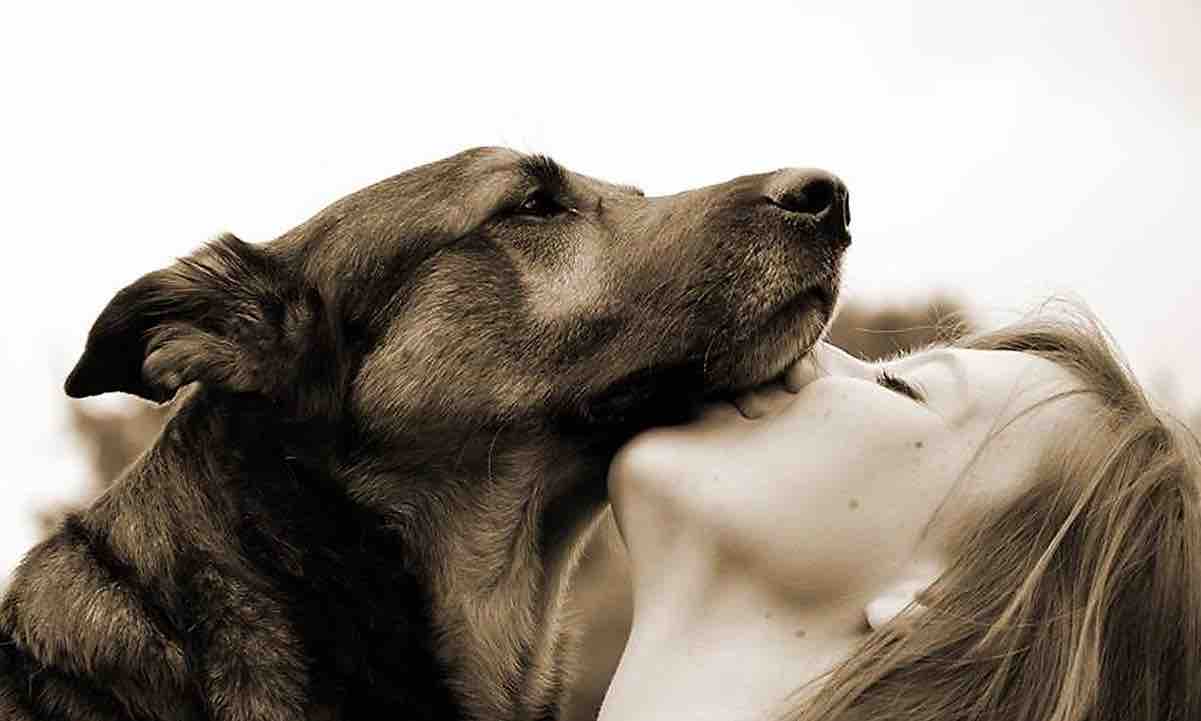 5 choses à apprendre sur les relations humaines grâce aux animaux